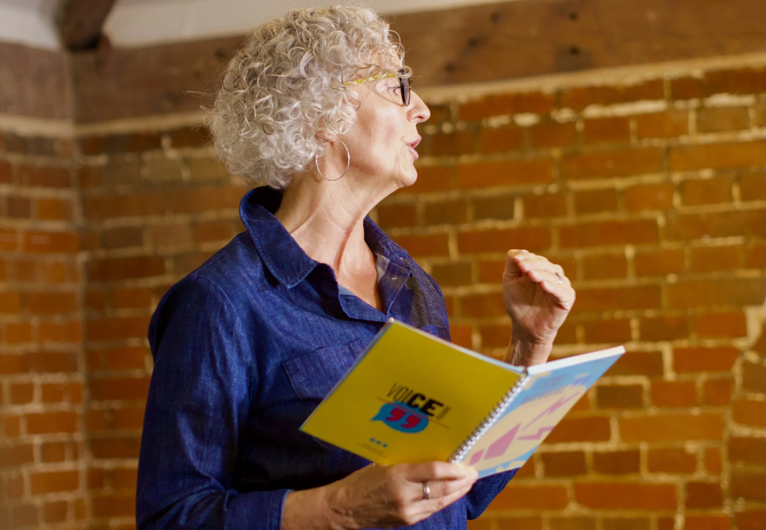 The VOICE Programme — Awareness Matters