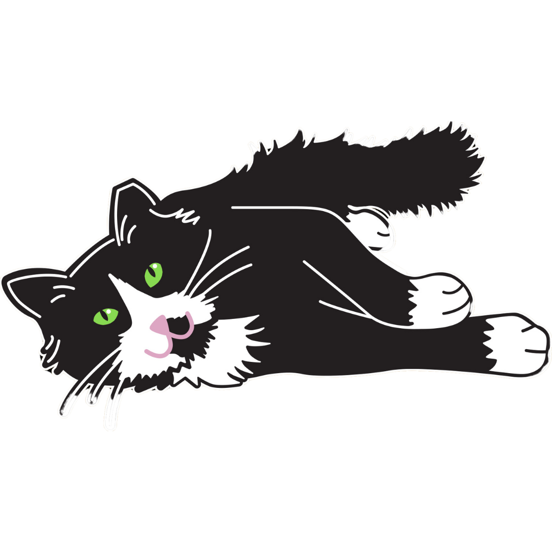Cat Care Durango