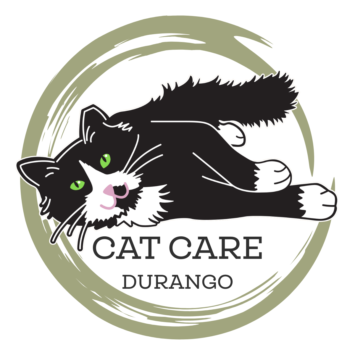 ADOPTABLE CATS — Cat Care Durango