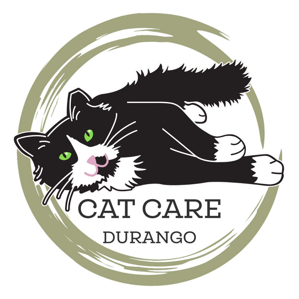 ADOPTABLE CATS — Cat Care Durango