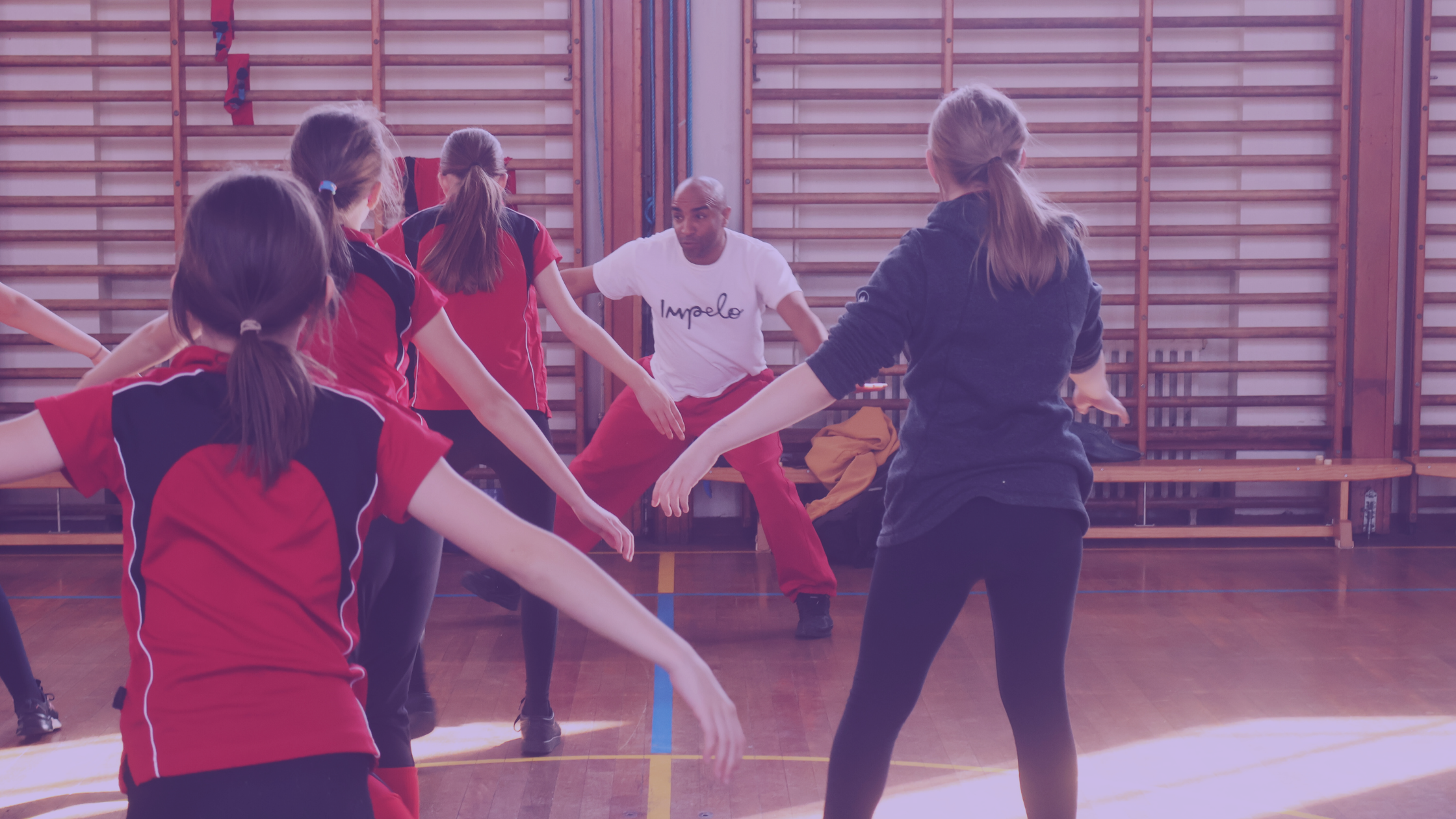 Our work in schools — Impelo