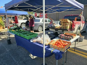 Norfolk Farmers Market