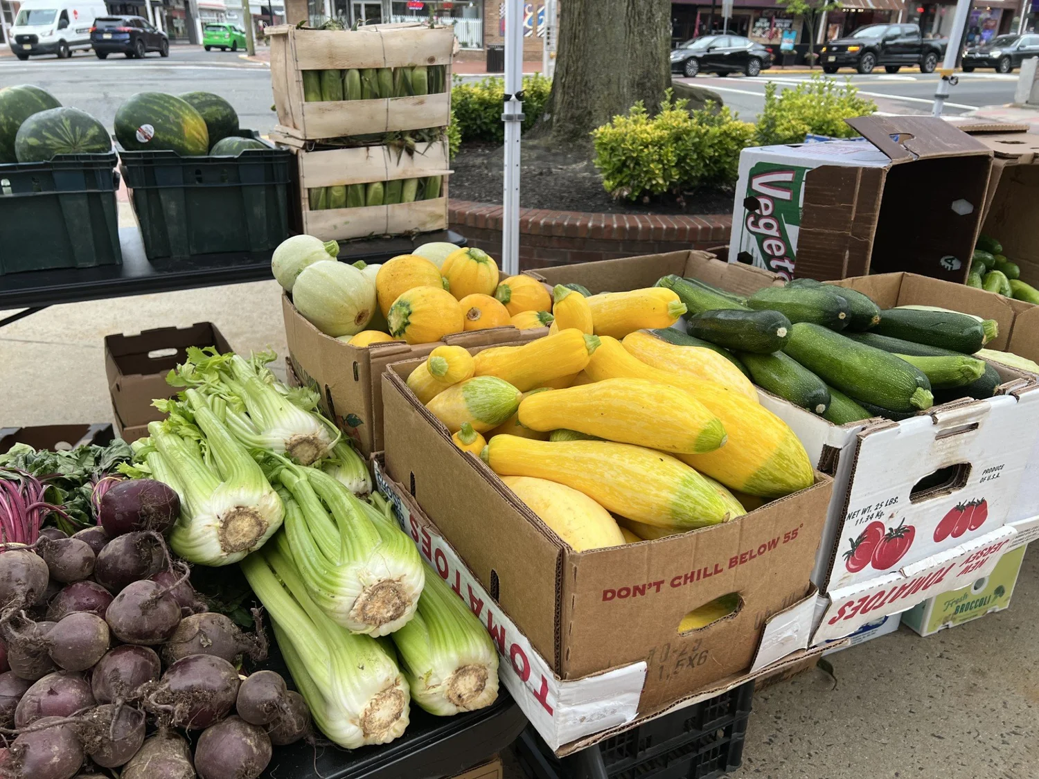 Farmers Market | Experience Local Freshness Today — Downtown Freehold