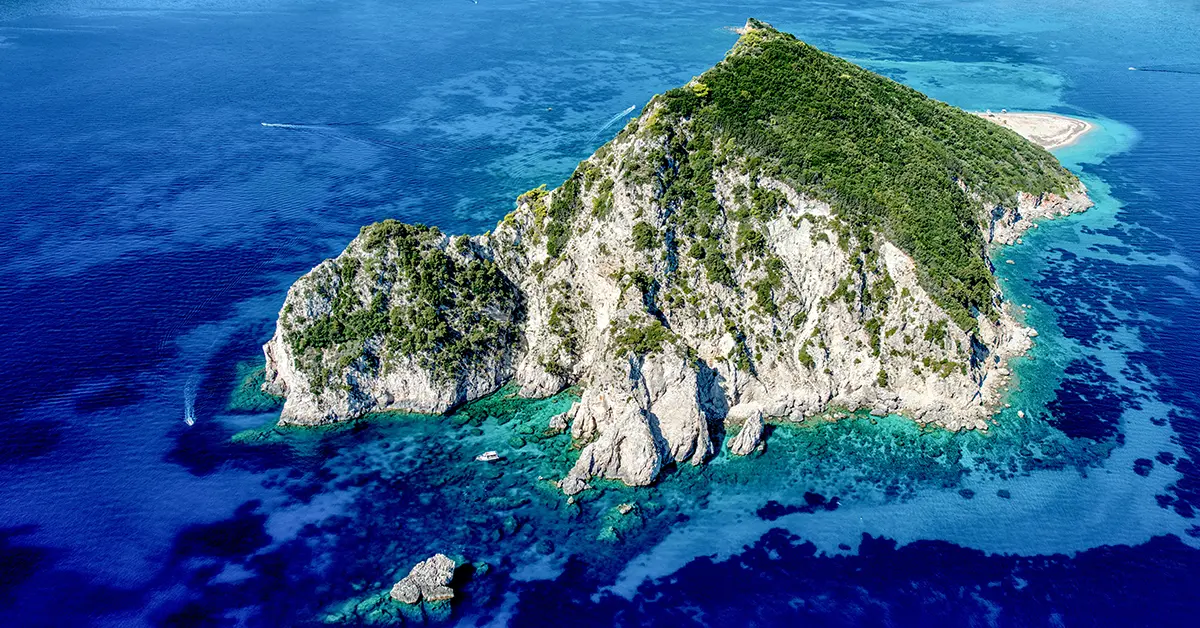 The “Moana” Case: The Care of Non-kin - Dixon & Co Lawyers — Dixon And Co