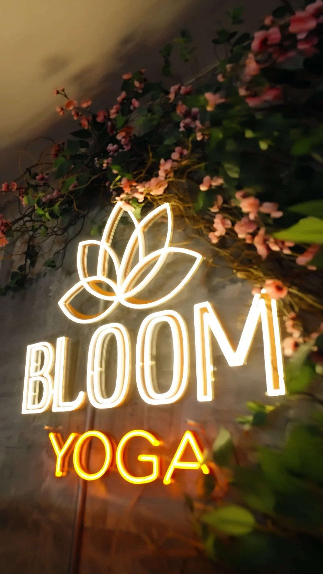 Bloom Yoga