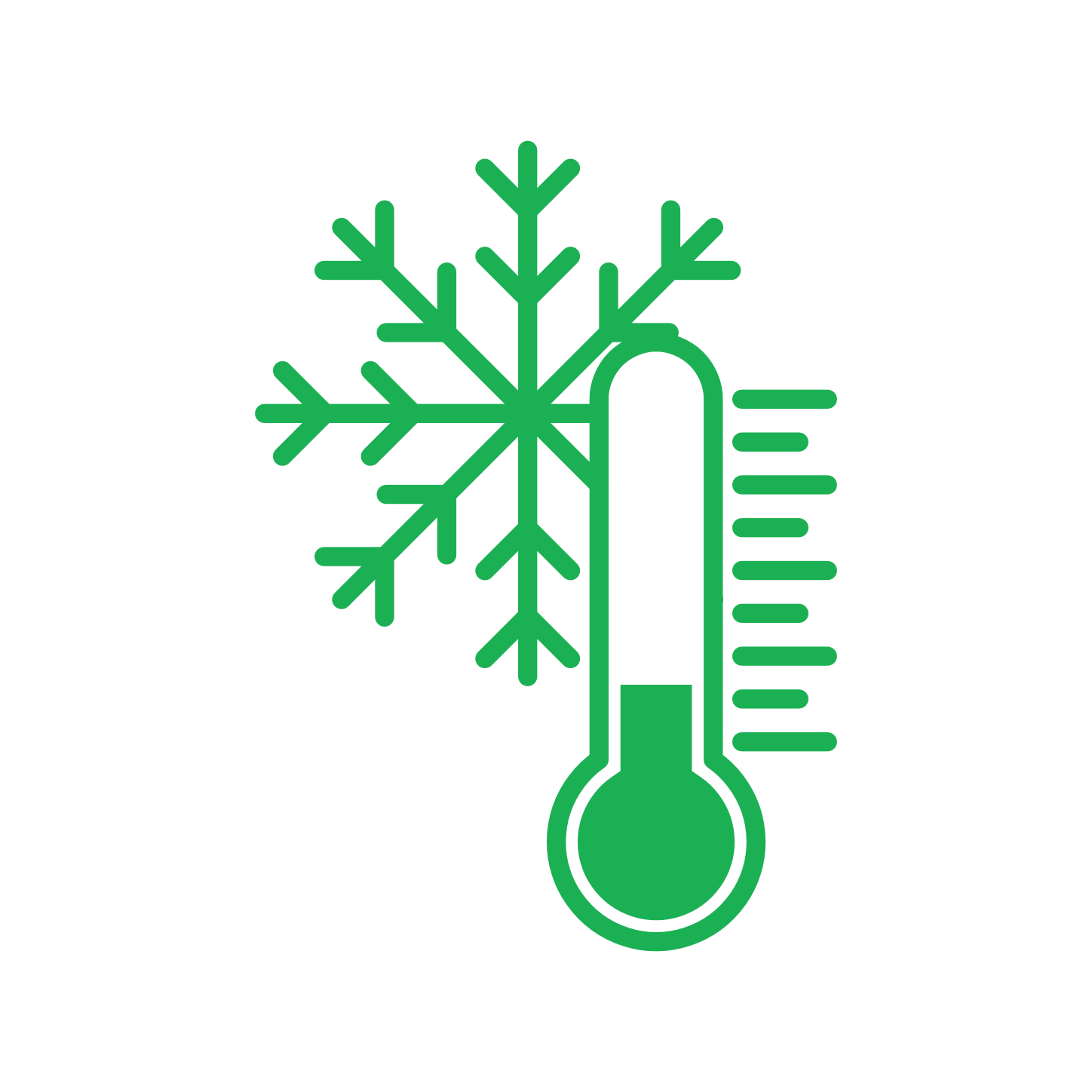 General 2 — Fresh Dynamics