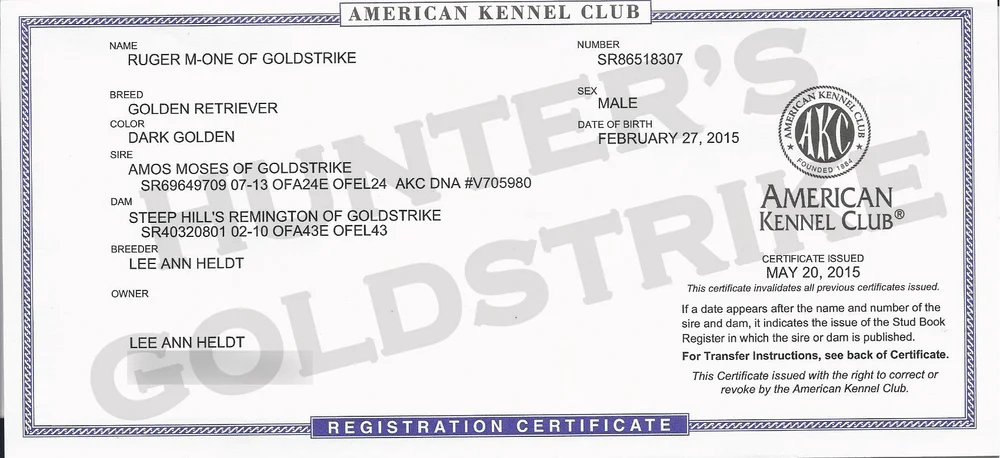 Ruger AKC Registration - Hunters Goldstrike