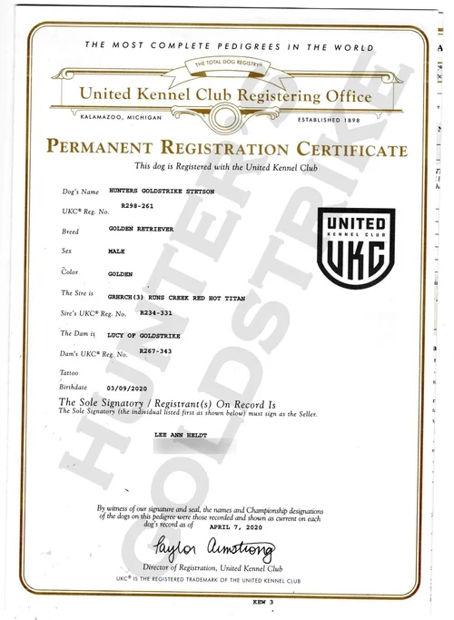 Stetson UKC Registration - Hunters Goldstrike
