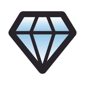 Bellingham Diamonds Girls Softball