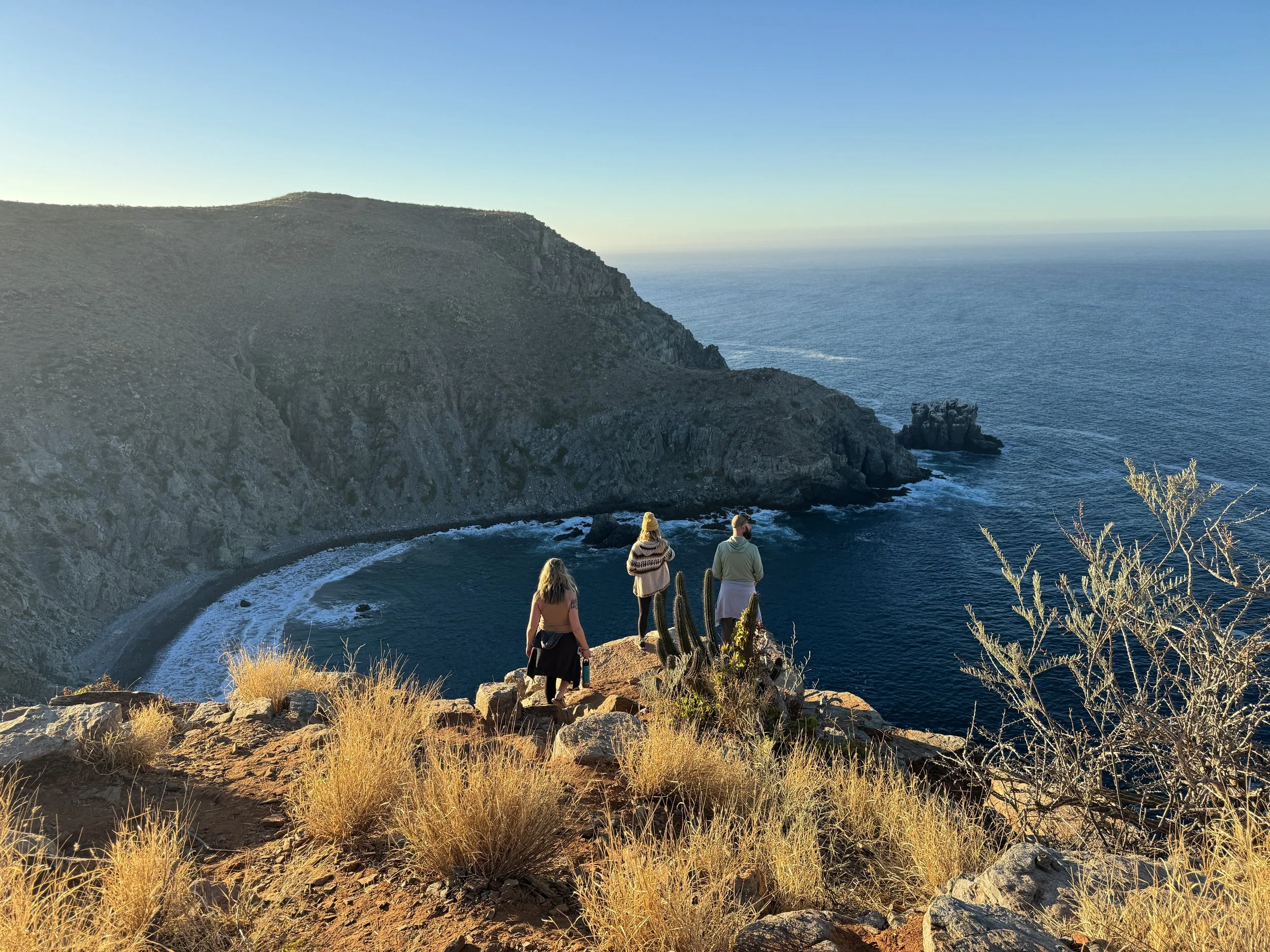 Meet The Team — Restore Therapy