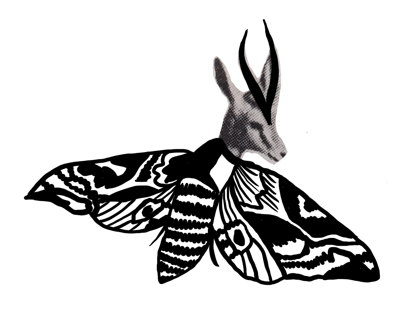 About MOTH — MOTH Festival of Ideas