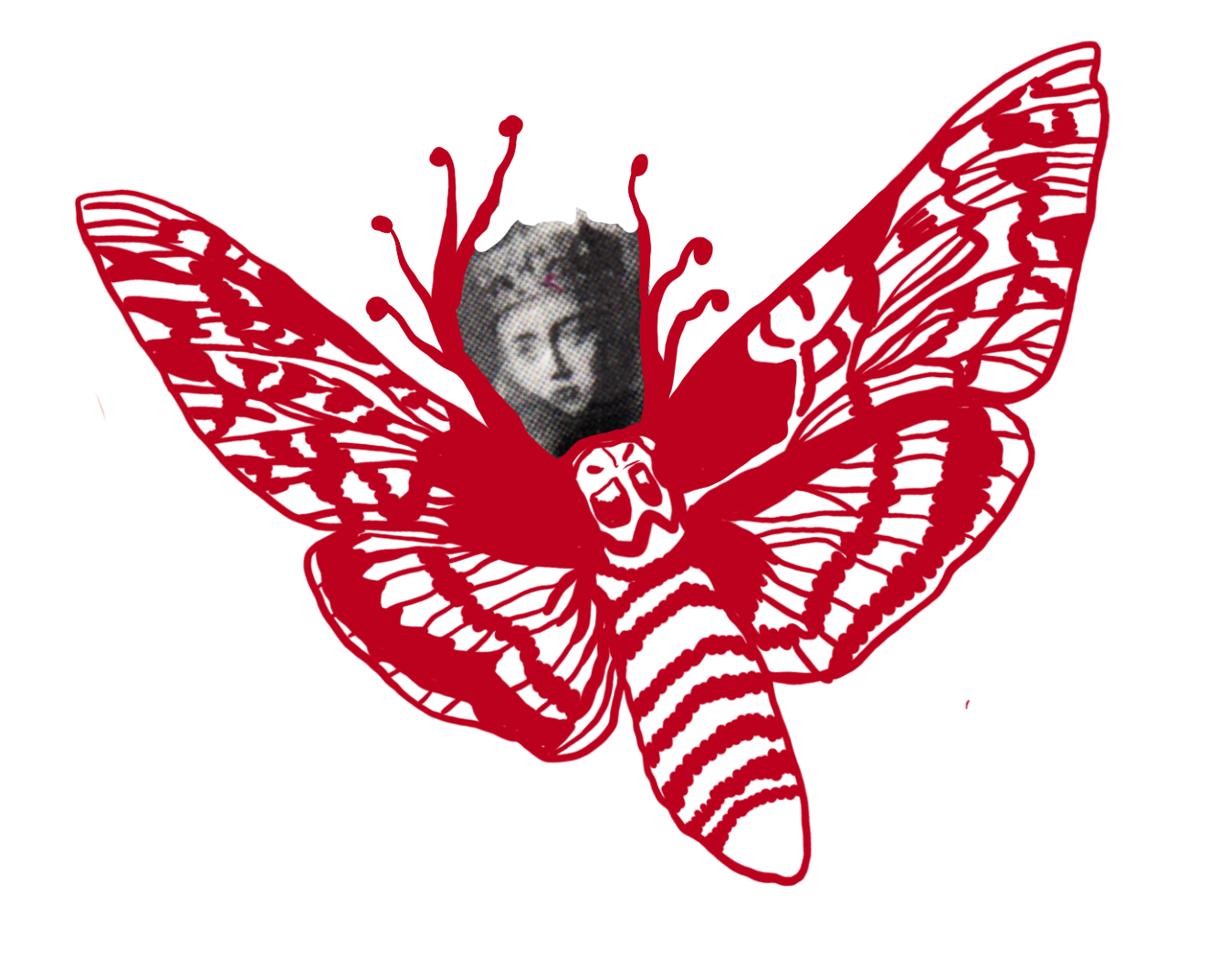 About MOTH — MOTH Festival of Ideas