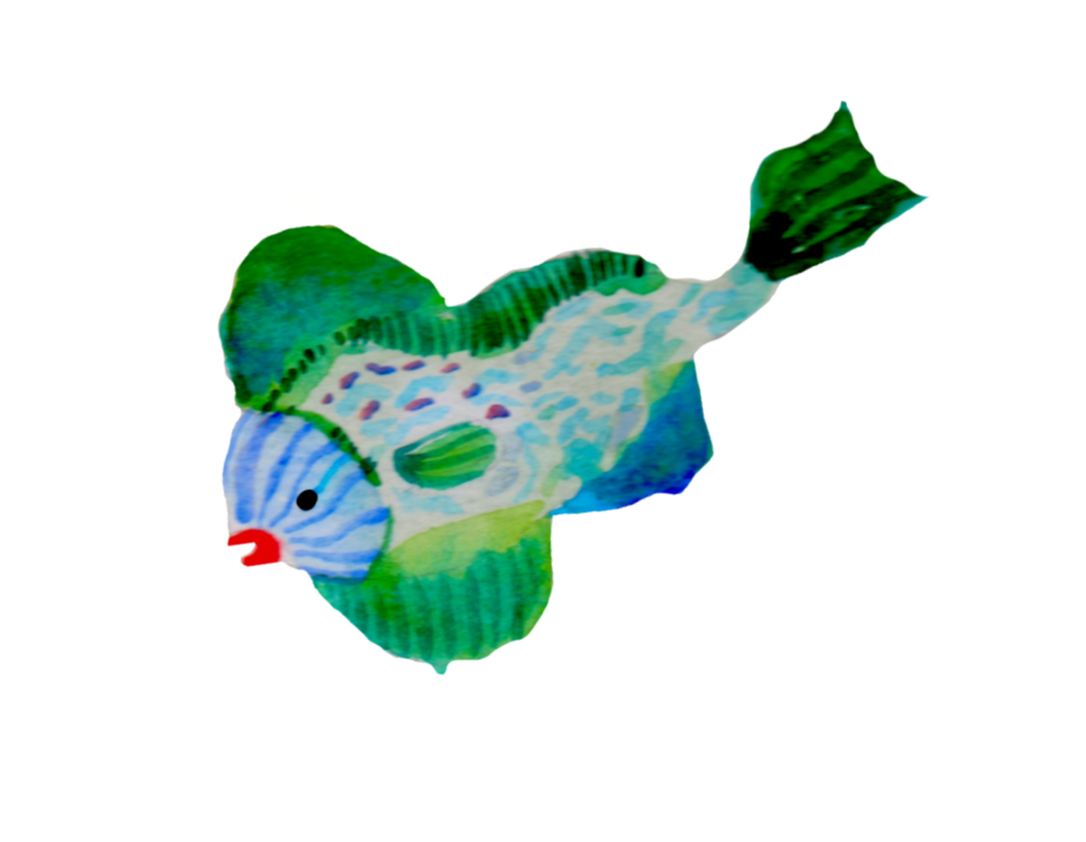 MOTH Festival of Ideas