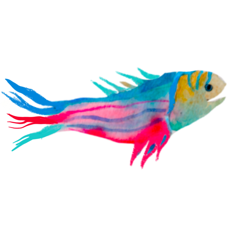 MOTH Festival of Ideas