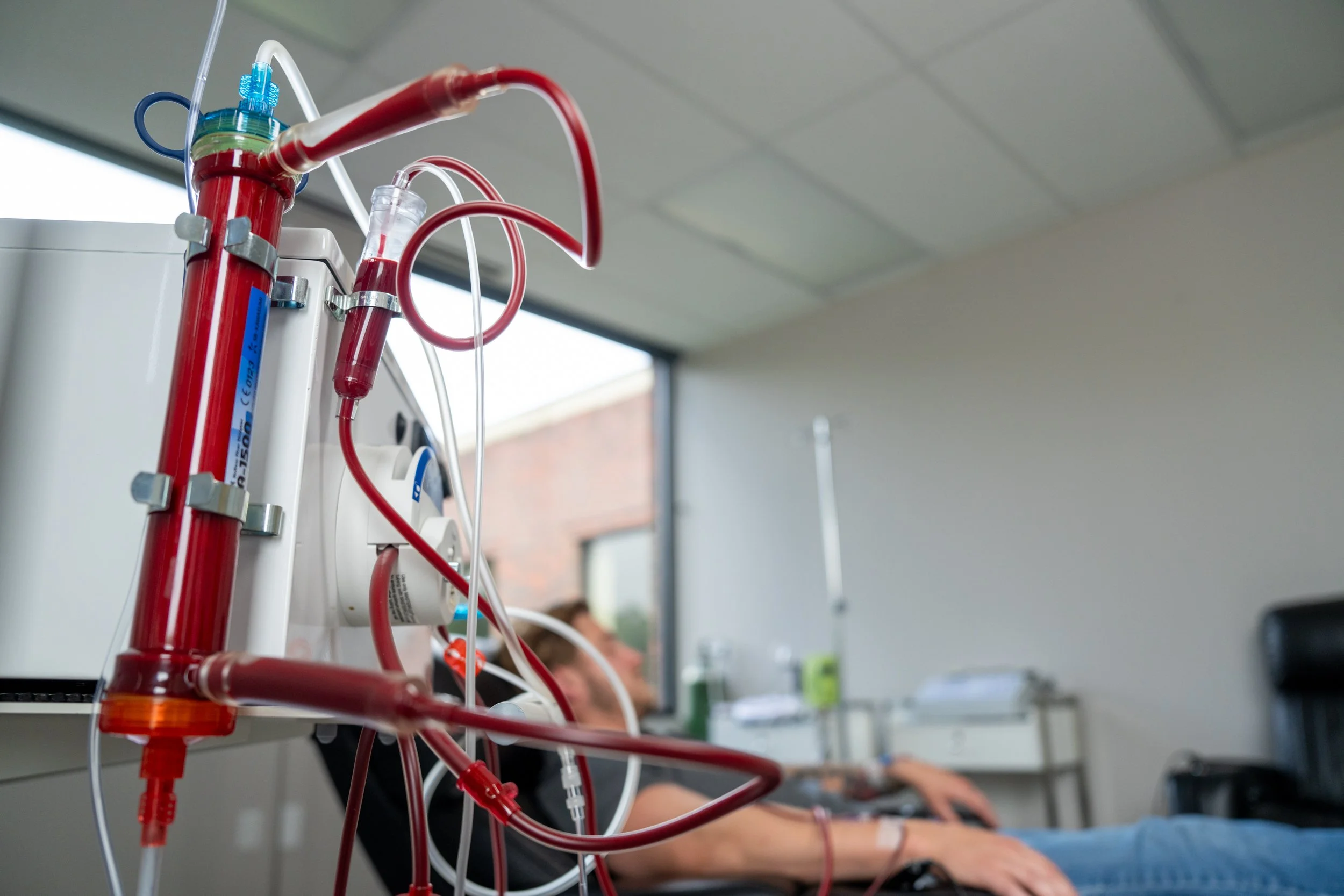 EBOO Therapy: IV Blood Detox | Exeter, NH