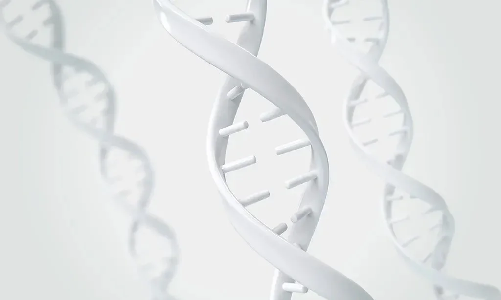 SOT Therapy | The AIM Clinic | Exeter, NH