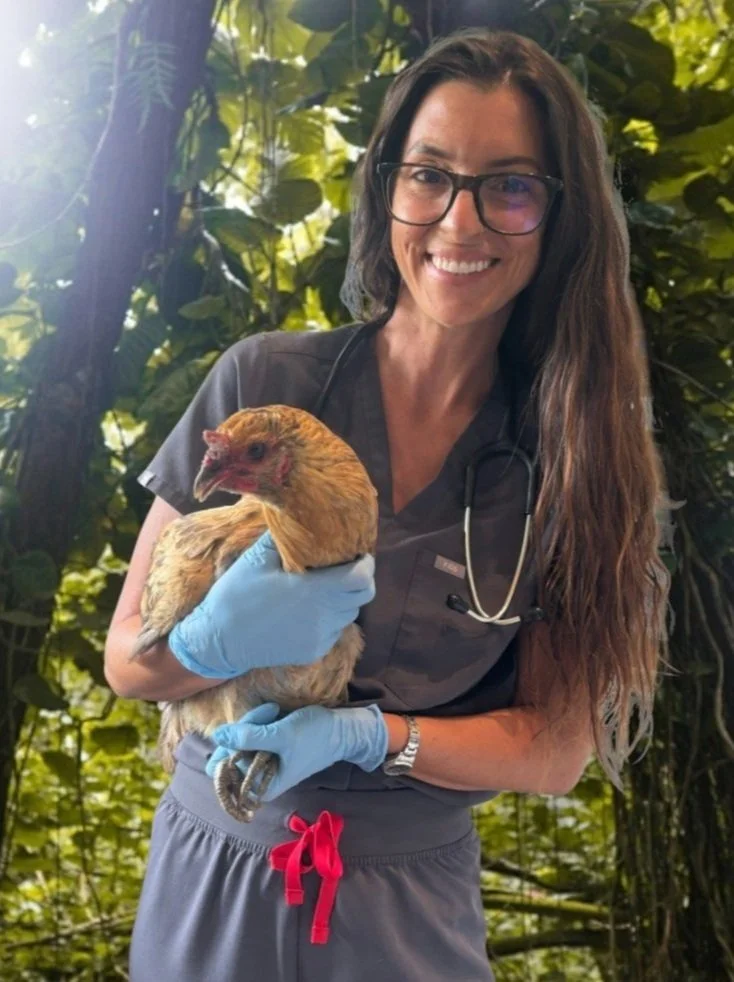 Garden Island Veterinary Medicine