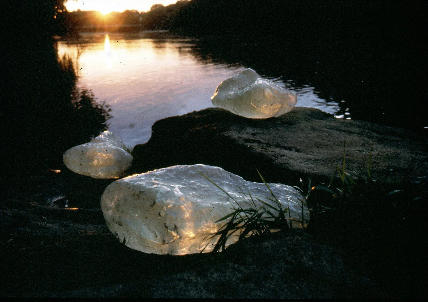 Garden Sculpture — Colin Reid Glass