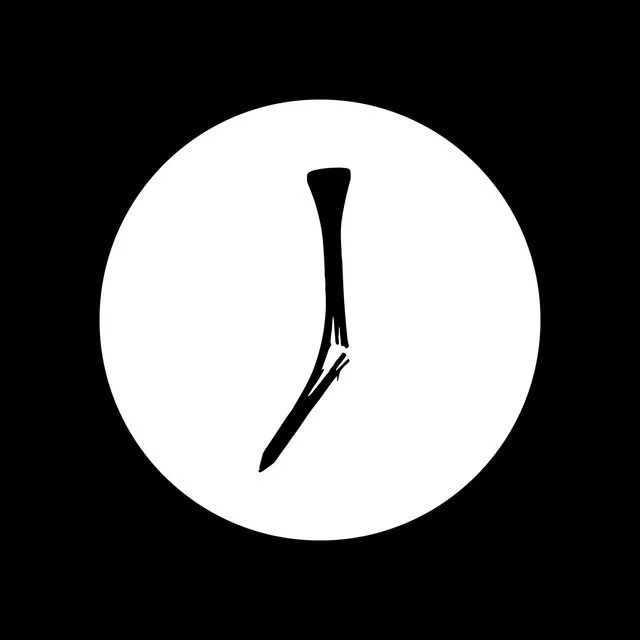 Partners — Chasing Scratch