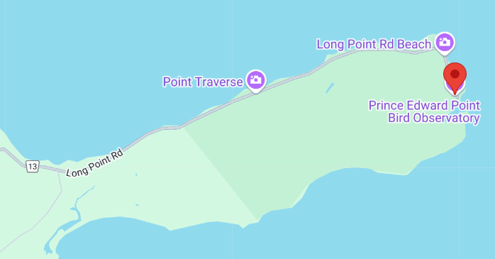 Plan Your Visit — PEPtBO