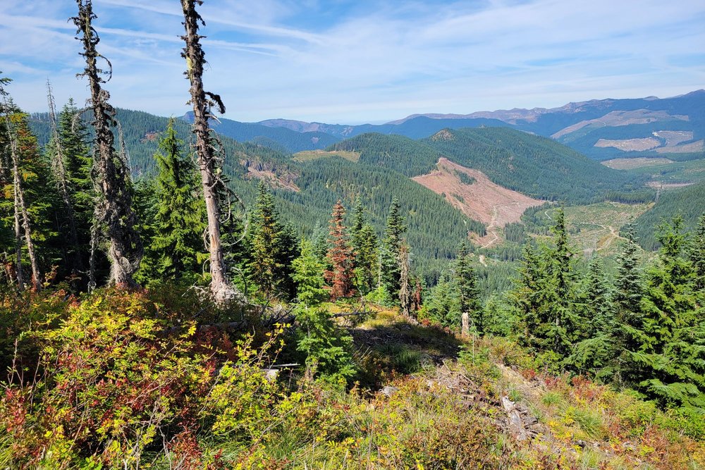 From Alaska’s Rainforests to California’s Chaparral: The Diverse ...