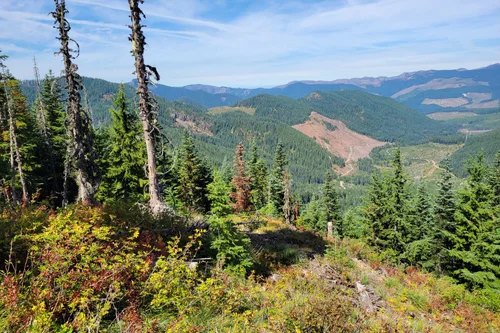 From Alaska’s Rainforests to California’s Chaparral: The Diverse ...
