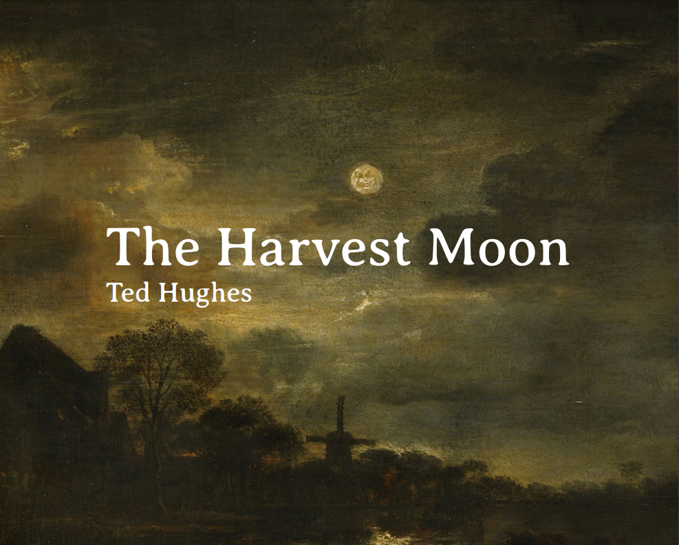'The Harvest Moon' by Ted Hughes: Explained — Scrbbly Blog