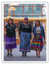 Yellowhead Tribal College | Explore Programs & Enroll Now