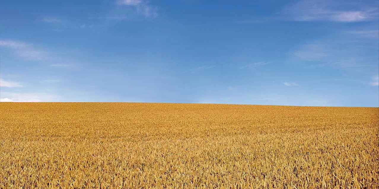 New entrant wins trusted tick — NZ AgriBusiness Magazine