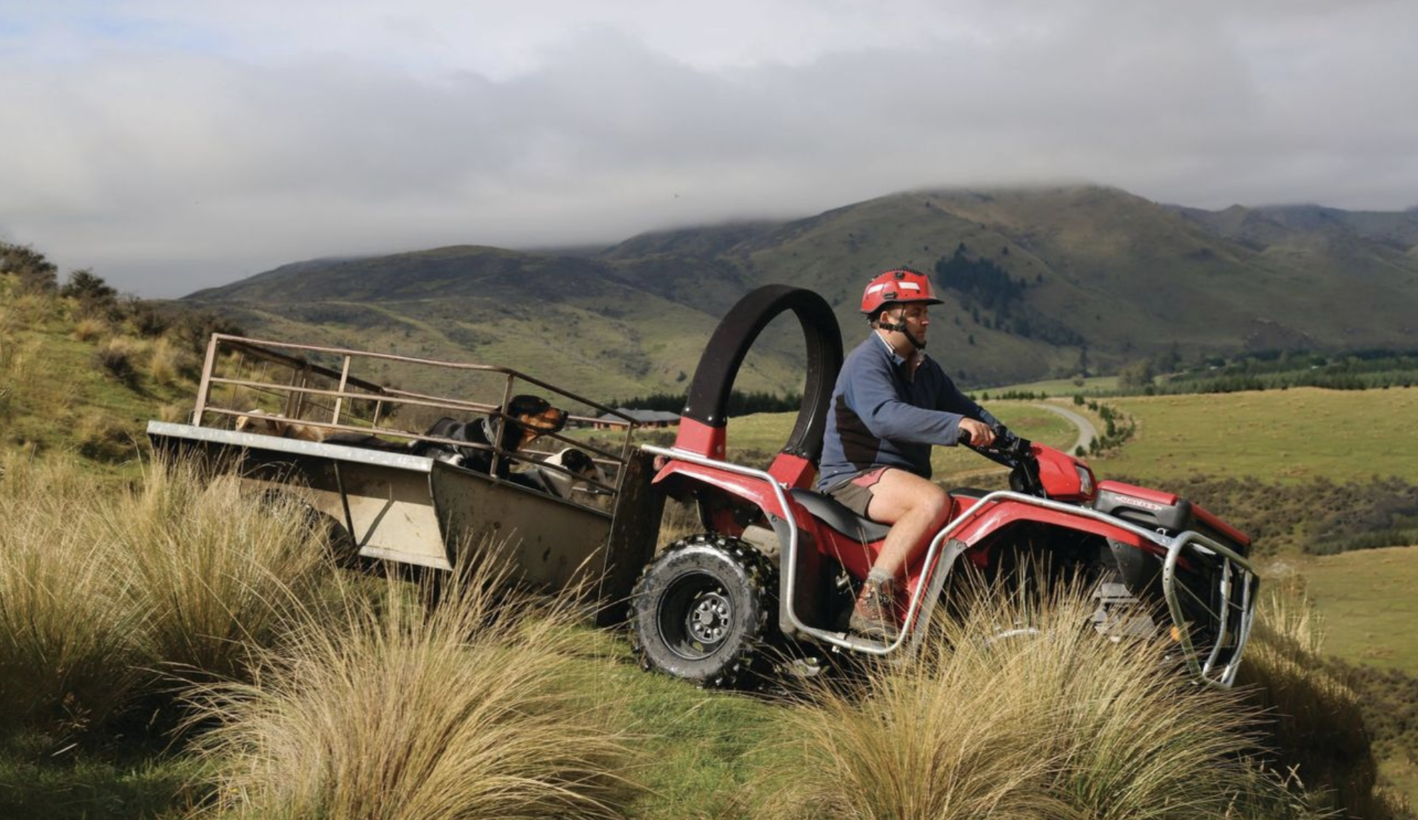 Driving real change on quad bike safety — NZ AgriBusiness Magazine