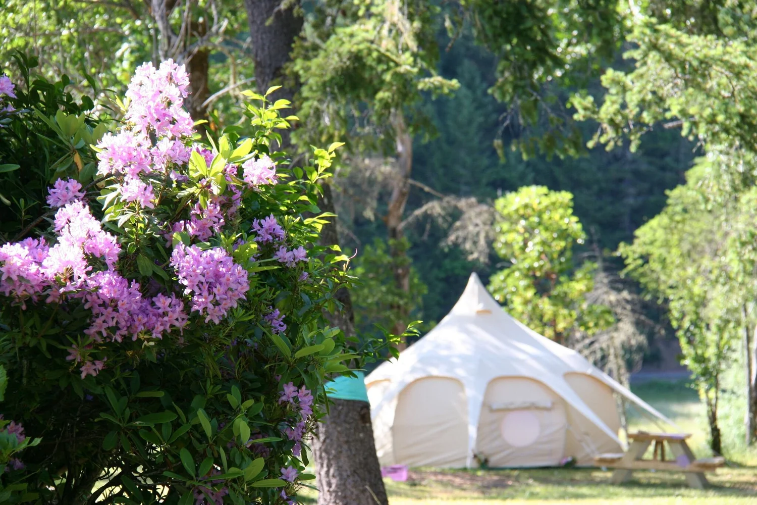 Campground — Cedar Bloom Farm