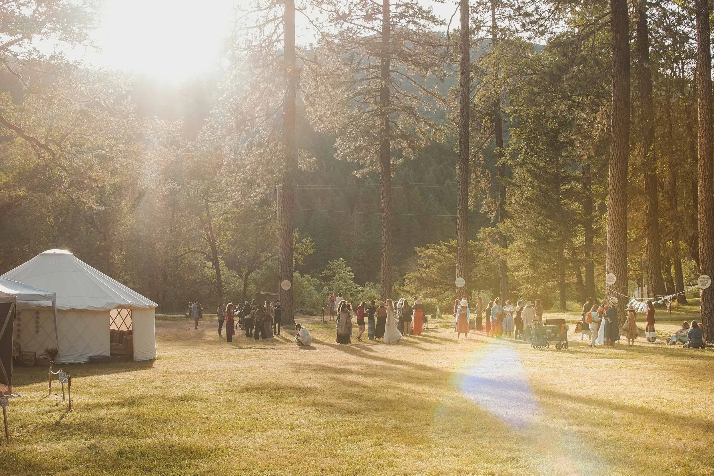Land & Community — Cedar Bloom Farm