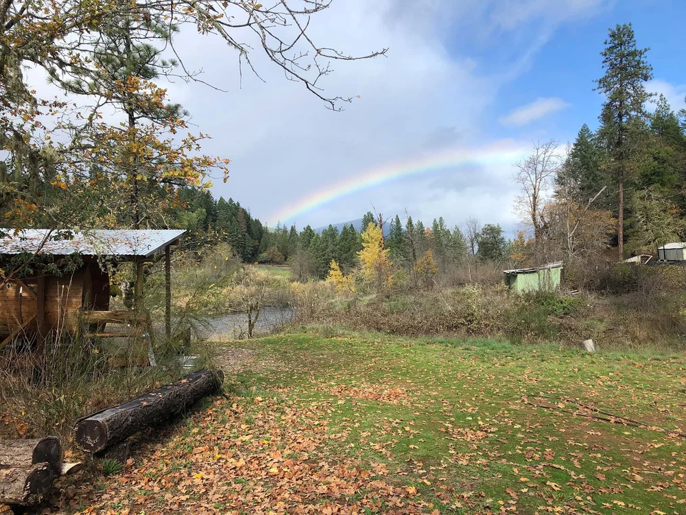 Land & Community — Cedar Bloom Farm