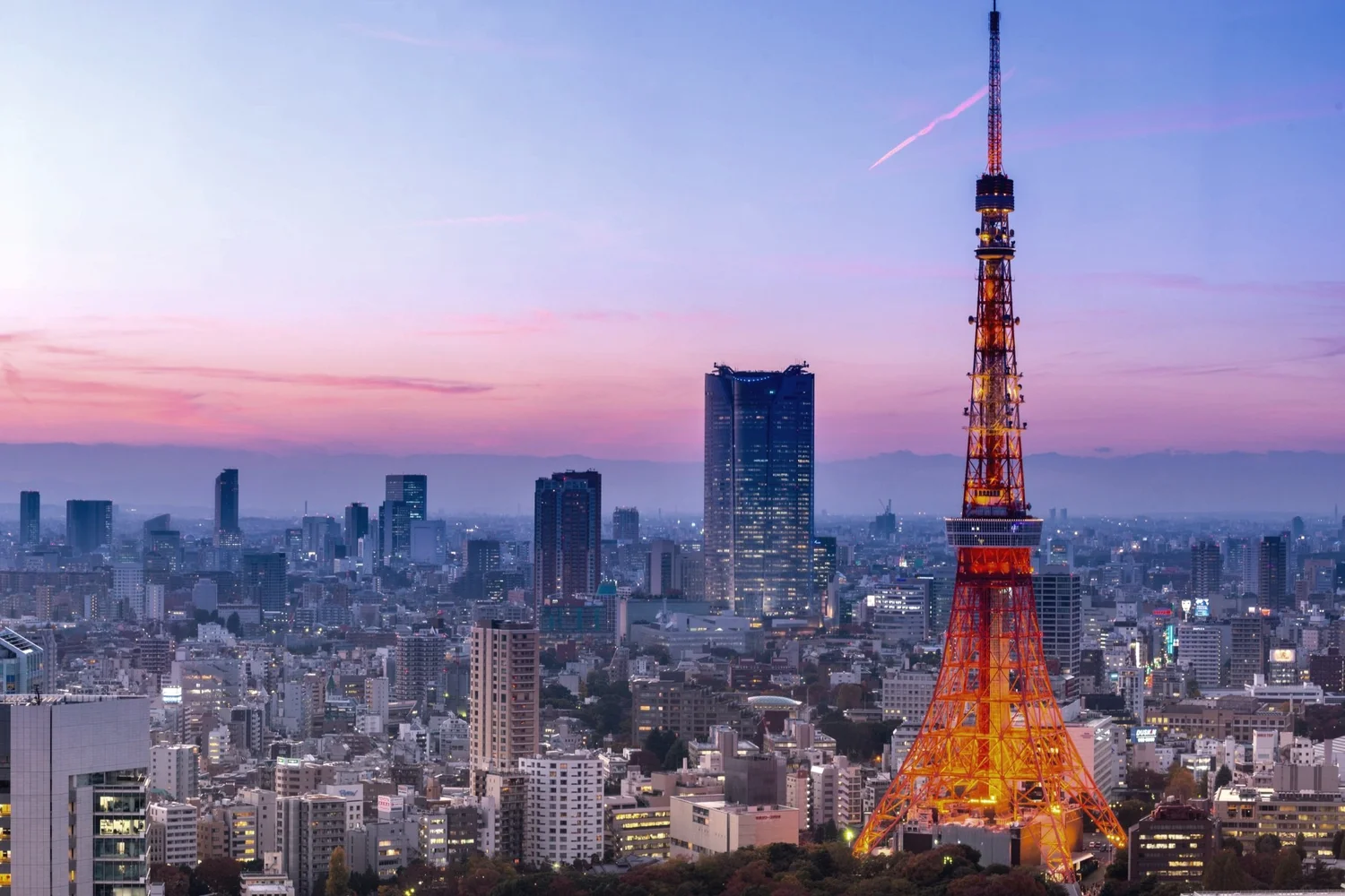 EO Tokyo Metropolitan
