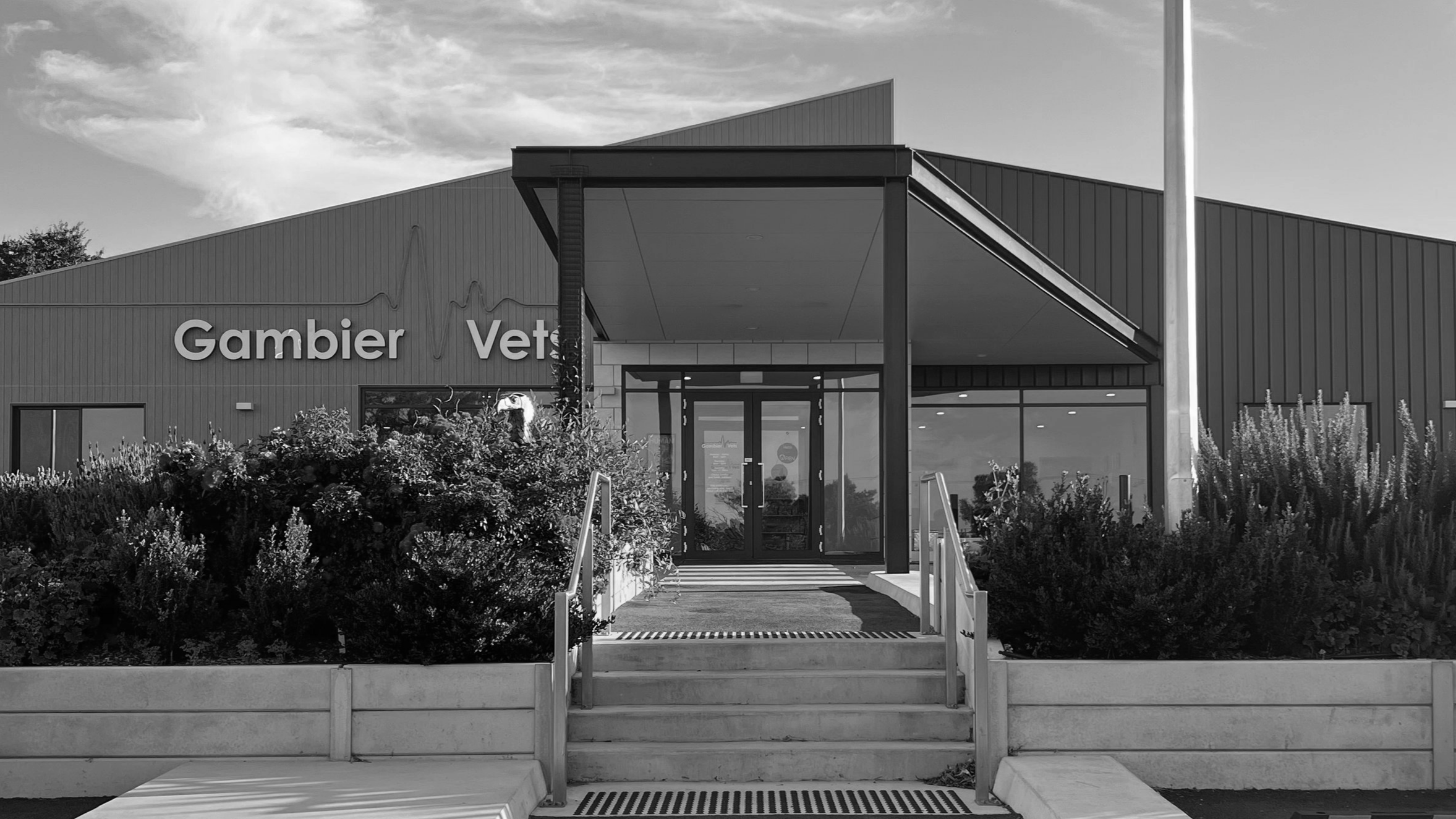 Gambier Vets