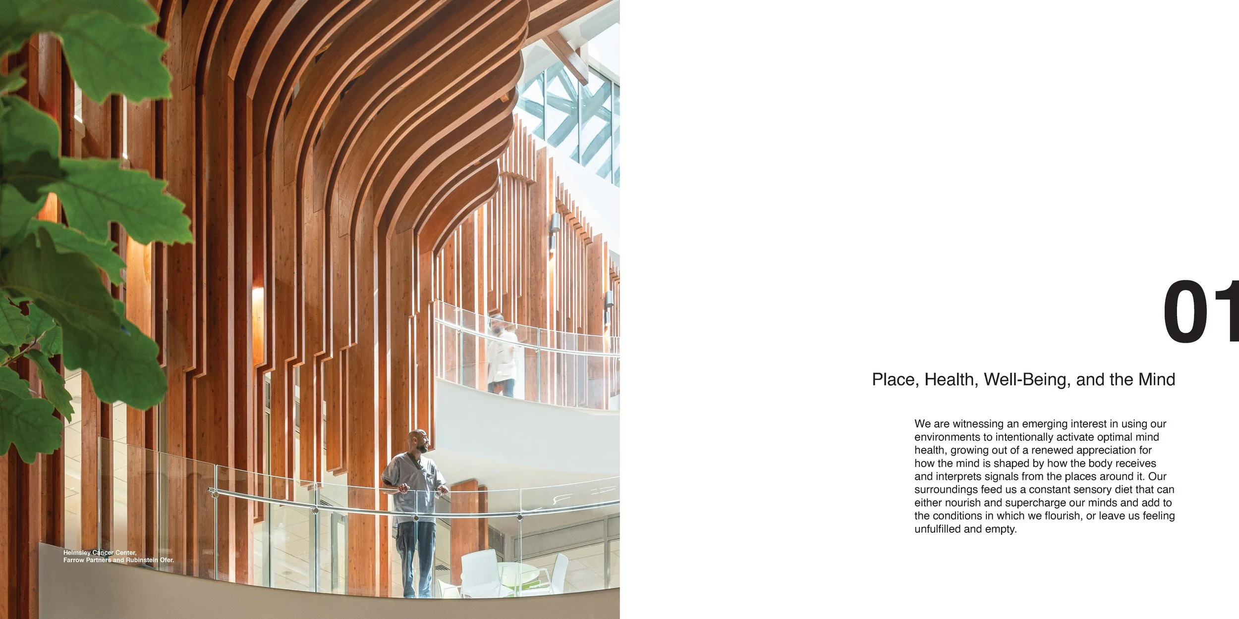 Constructing Health — Farrow