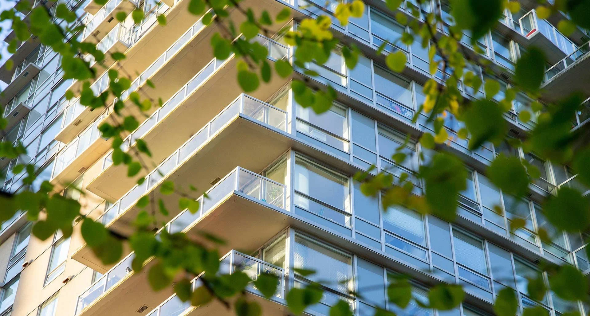 Property management — TPM Management