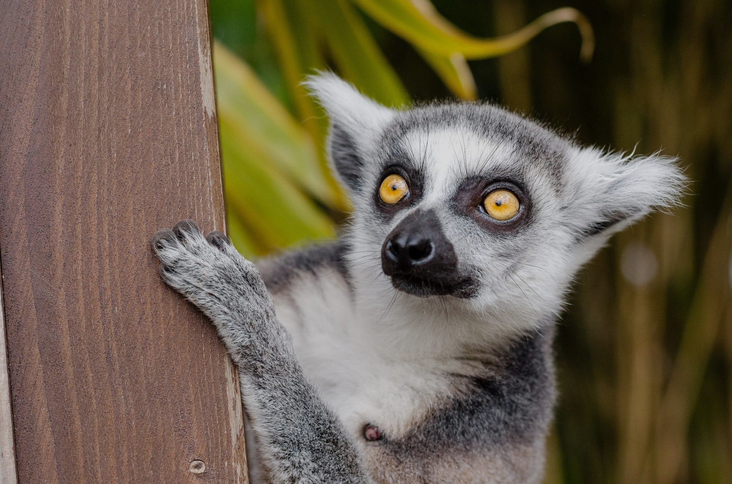Field Trips | Discover, Explore Today — Animal Adventures