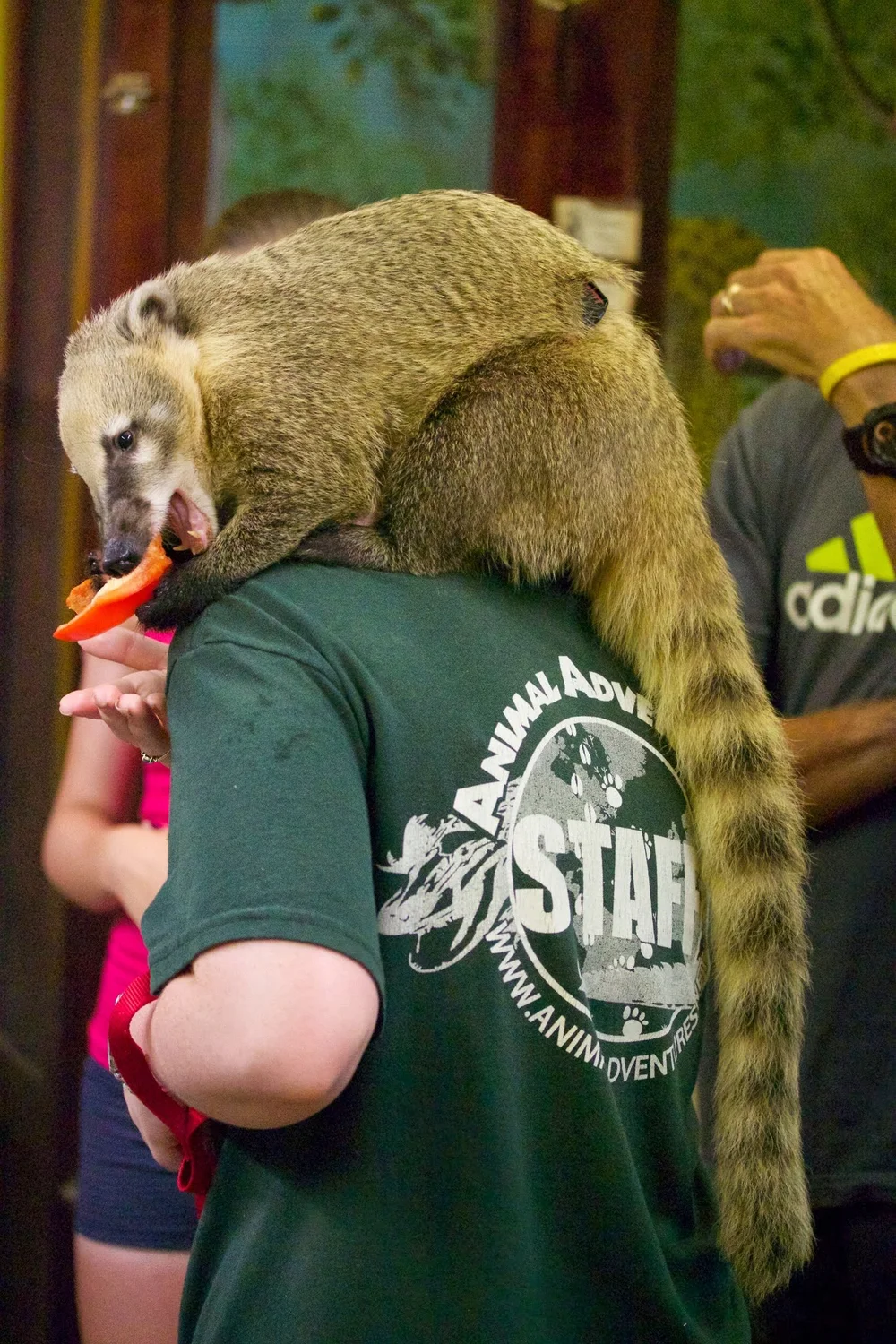 Tickets & Tours | Explore & Book Today — Animal Adventures