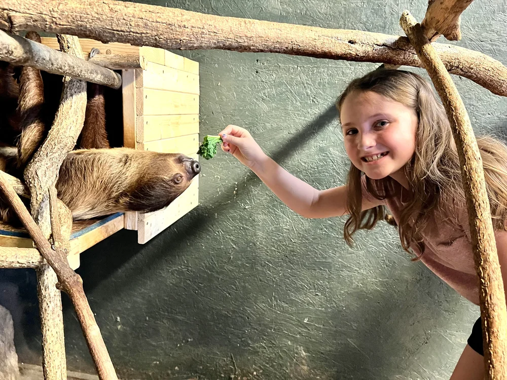 Tickets & Tours | Explore & Book Today — Animal Adventures