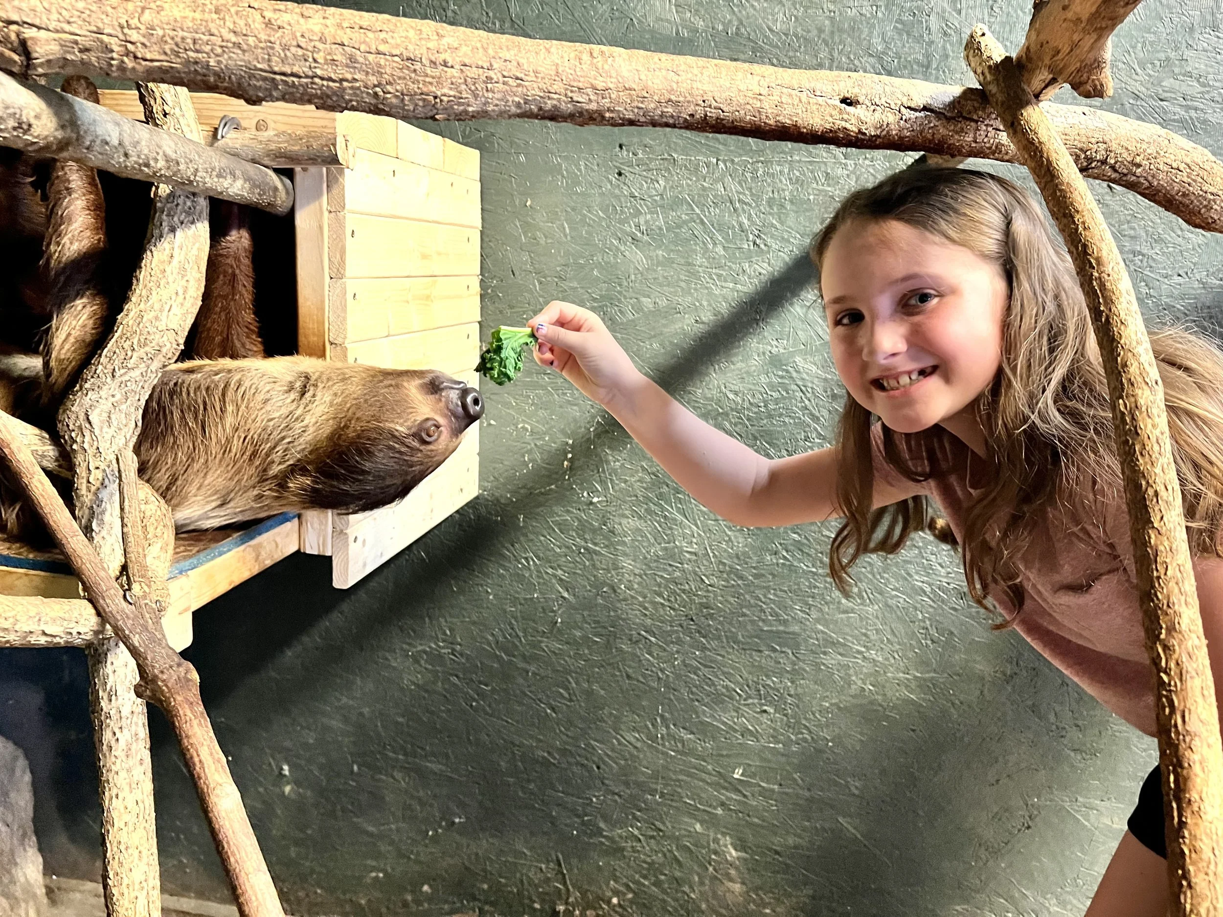 Tickets & Tours | Explore & Book Today — Animal Adventures