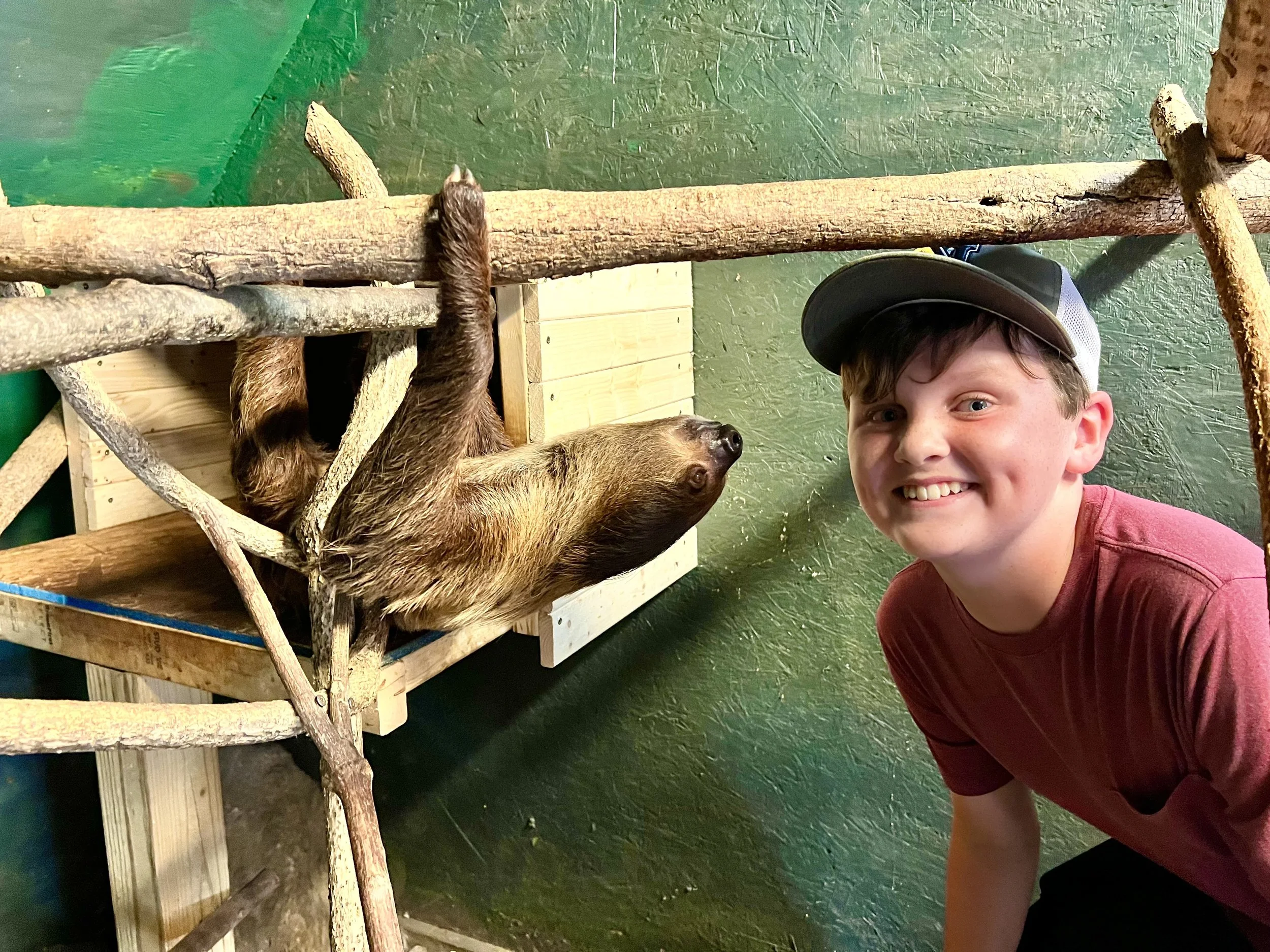 Tickets & Tours | Explore & Book Today — Animal Adventures