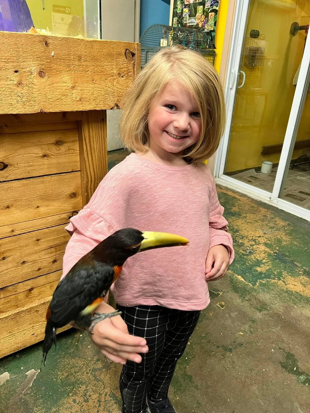 Tickets & Tours | Explore & Book Today — Animal Adventures