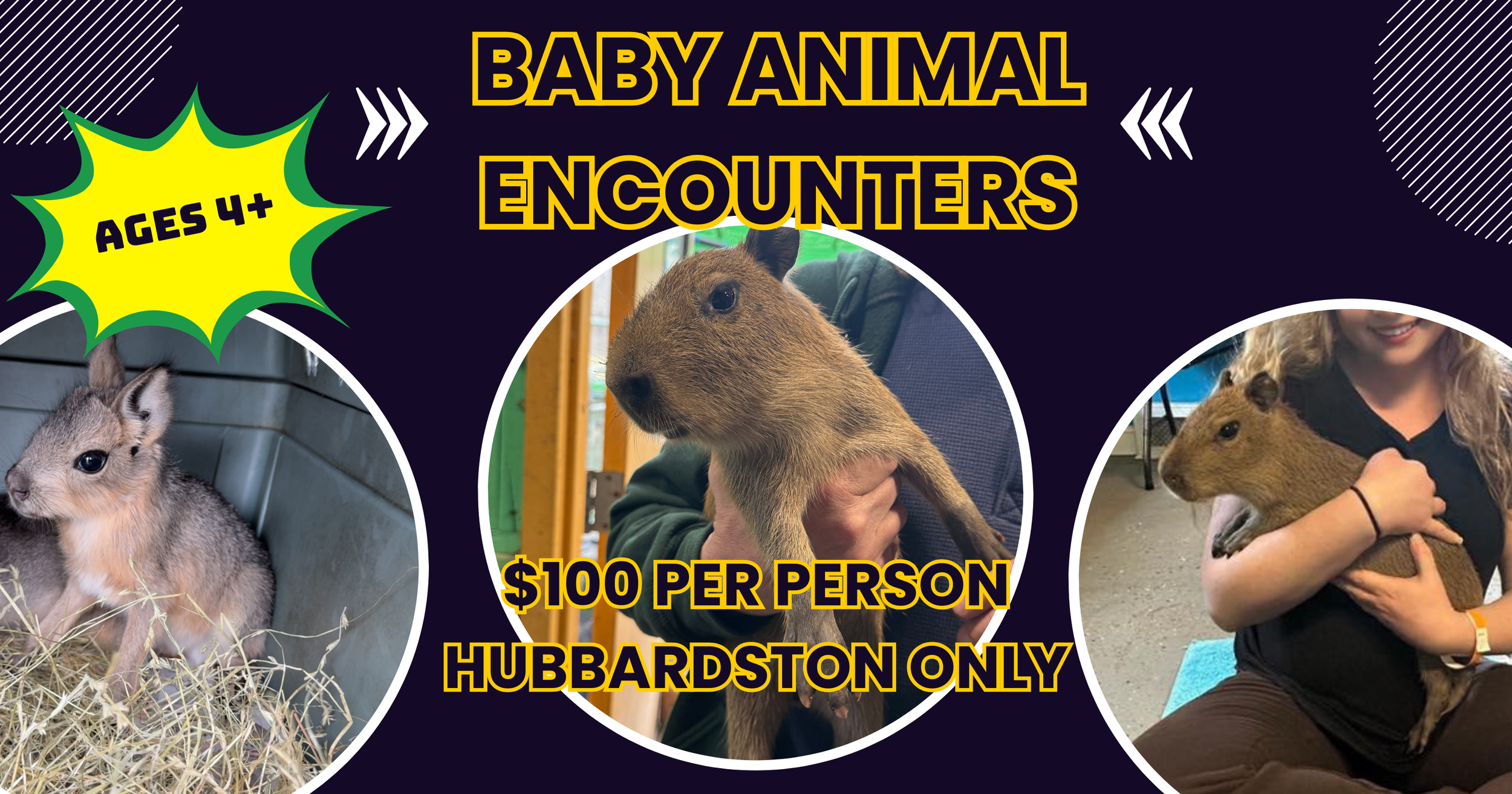 Animal Adventures
