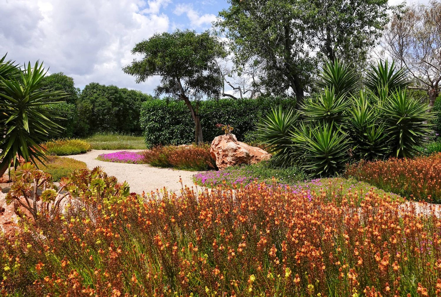 Dry Gardens in Mallorca - Sustainable Mediterranean Gardens — Mashamba ...