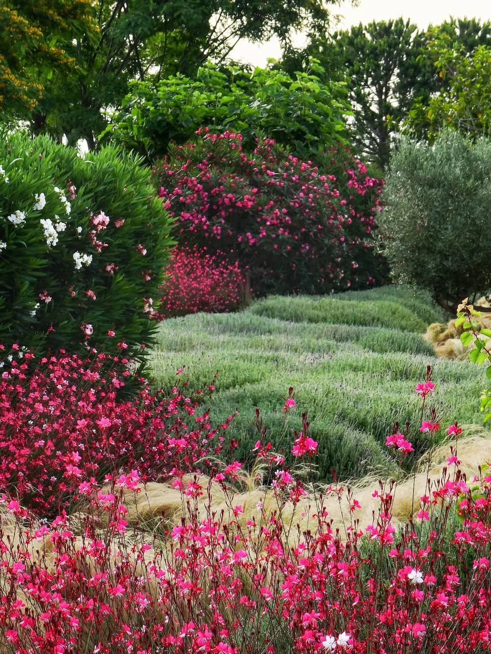 Classically Mediterranean Garden Design in Mallorca — Mashamba Design