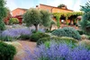 Classically Mediterranean Garden Design in Mallorca — Mashamba Design