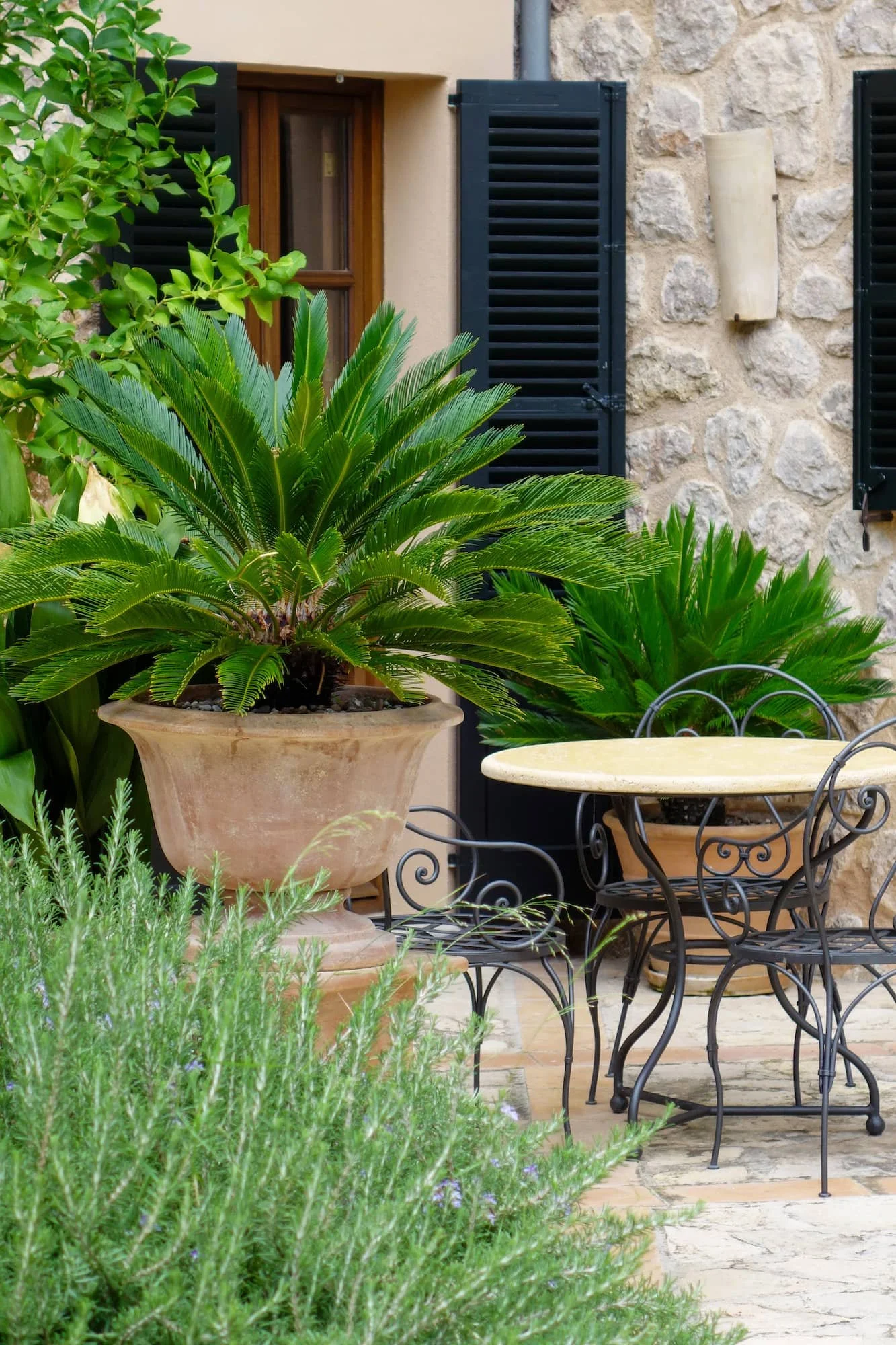 Outdoor Living and Terrace Design in Mallorca — Mashamba Design