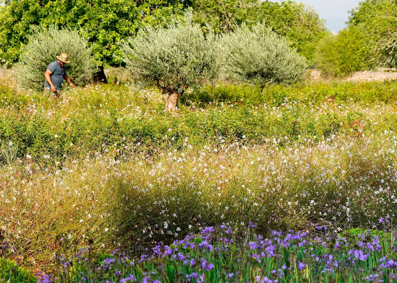 How to Hire a Gardener — Mashamba Design