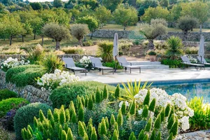 Classically Mediterranean Garden Design in Mallorca — Mashamba Design